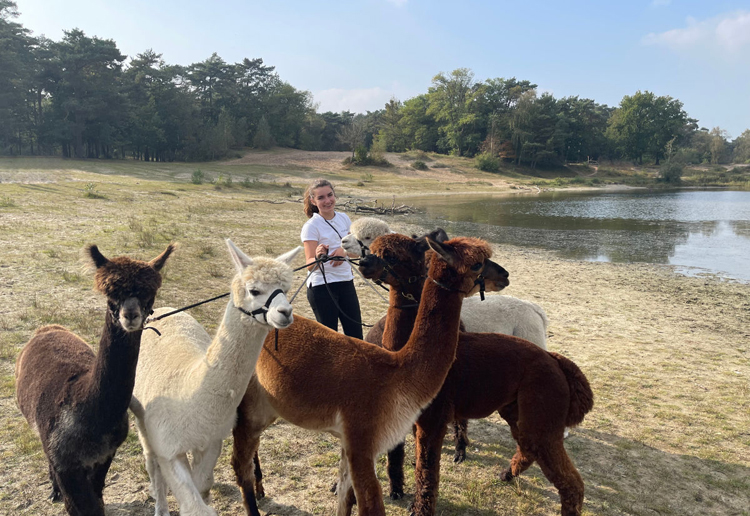 Alpaca Country | Dagje uit omgeving Oosterhout